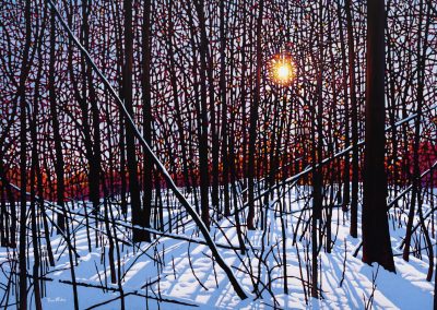 Original Paintings | Tim Packer Fine Arts